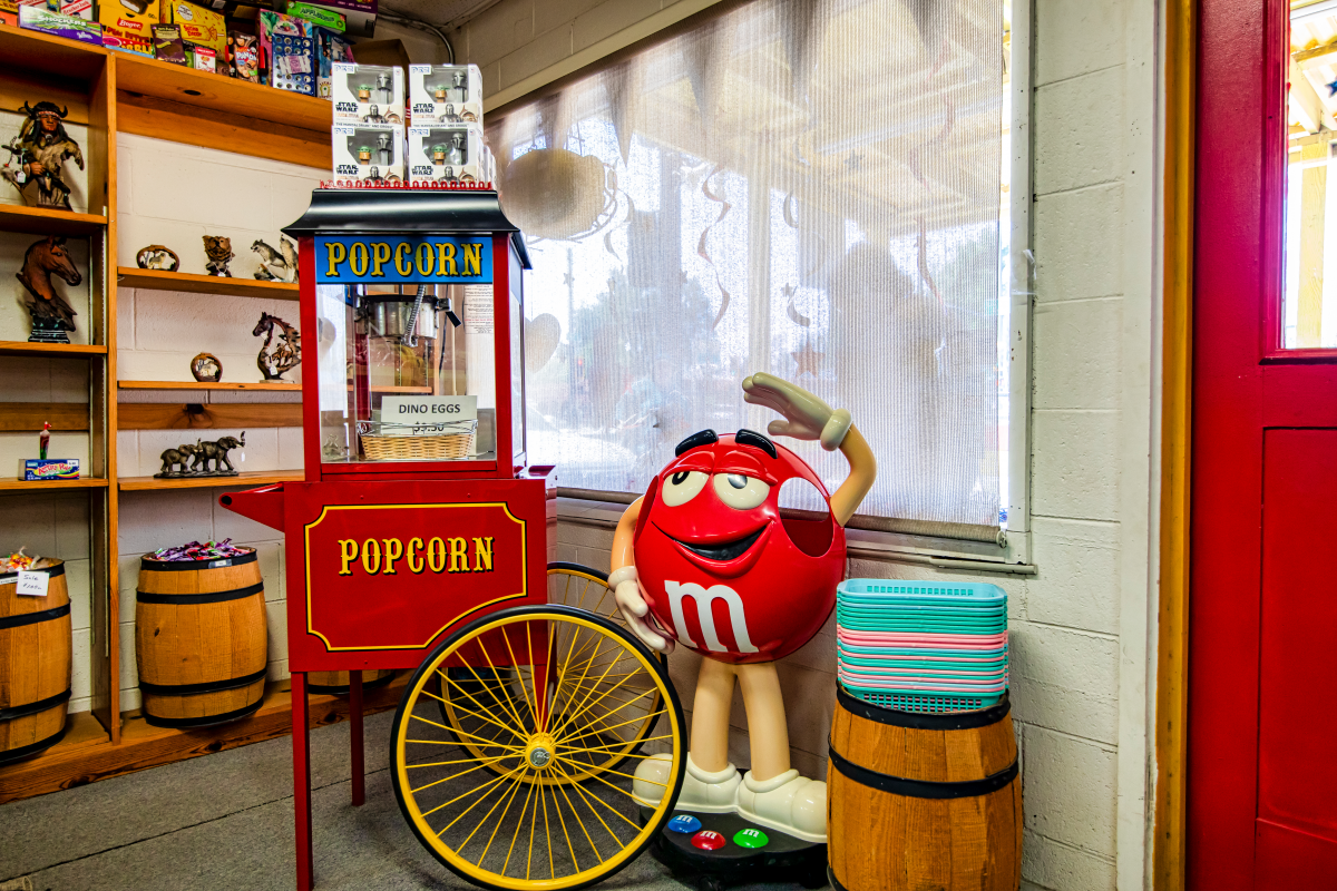 Penny Candy Store In Live Oak Dispenses Sweet Dose Of Nostalgia Penny Candy Store In Live Oak Dispenses Sweet Dose Of Nostalgia