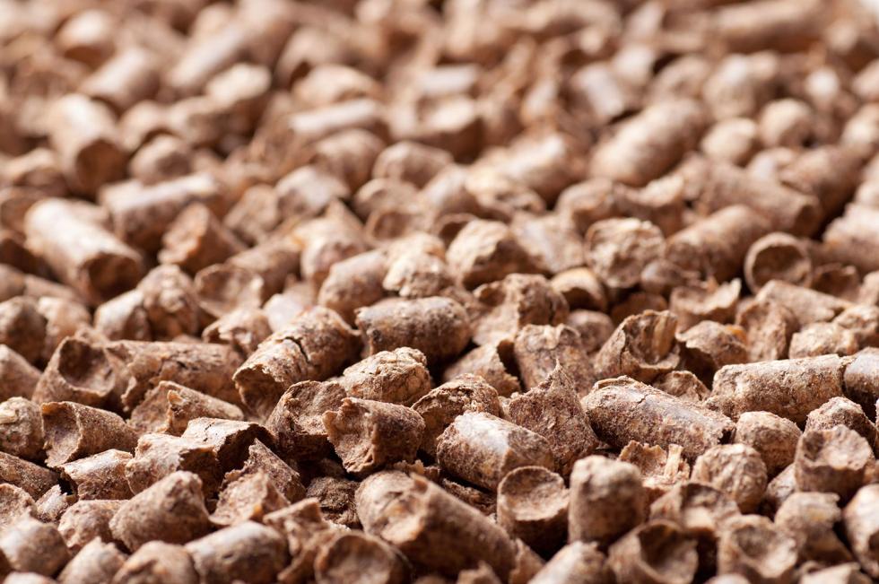 Big Bad Biomass | Comstock's magazine