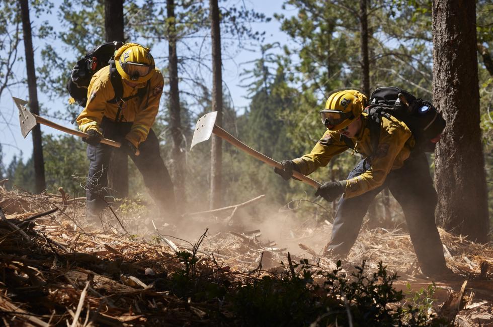 Photos: Cal Fire Trains New Crews in Auburn | Comstock's magazine