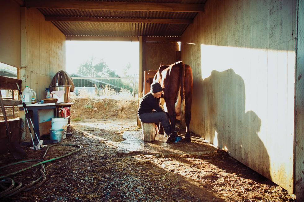 Age of Ag | Comstock's magazine