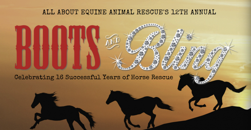 12th Annual Boots and Bling Fundraiser | Comstock's magazine