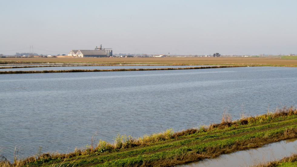 Farming to Save Water | Comstock's magazine