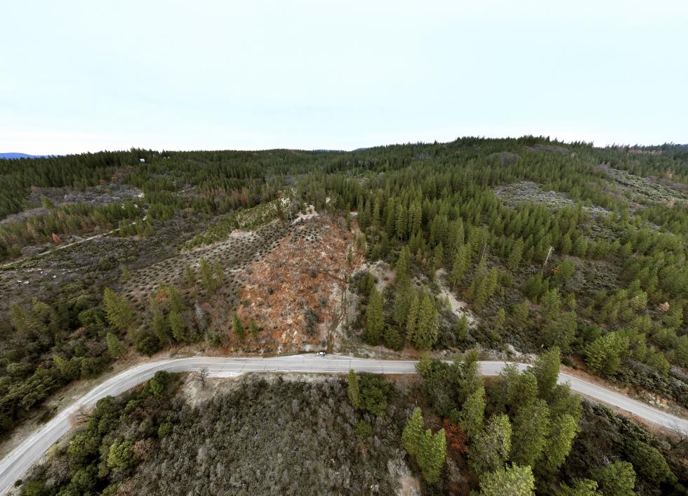 Fuel From the Forest | Comstock's magazine